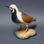 Frank Finney Carving Ruddy Turnstone - Door Stops, Doorstops, Americana ...